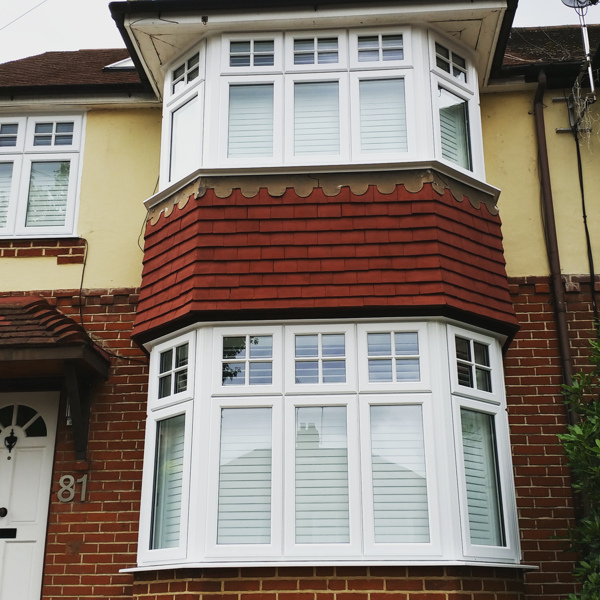 Our Forever Home - Two Years On - Boo & Maddie