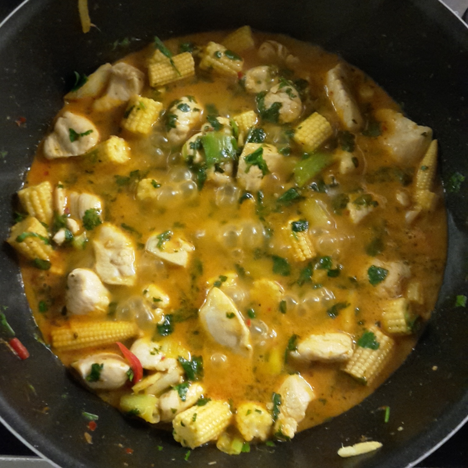 Cooking: Thai Chicken Curry - Boo & Maddie