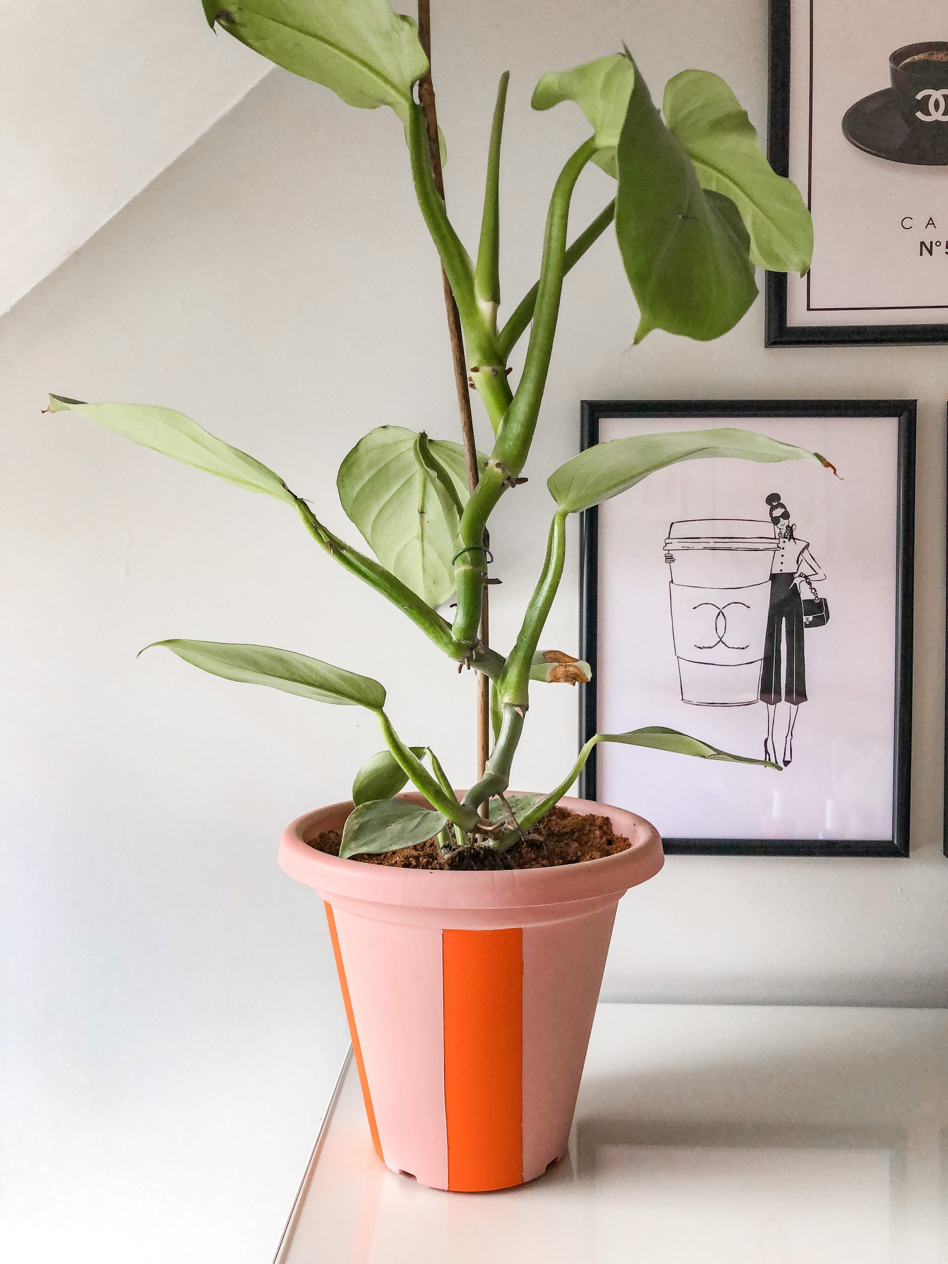 7 Ideas For A Frenchic Painting Project - Boo & Maddie