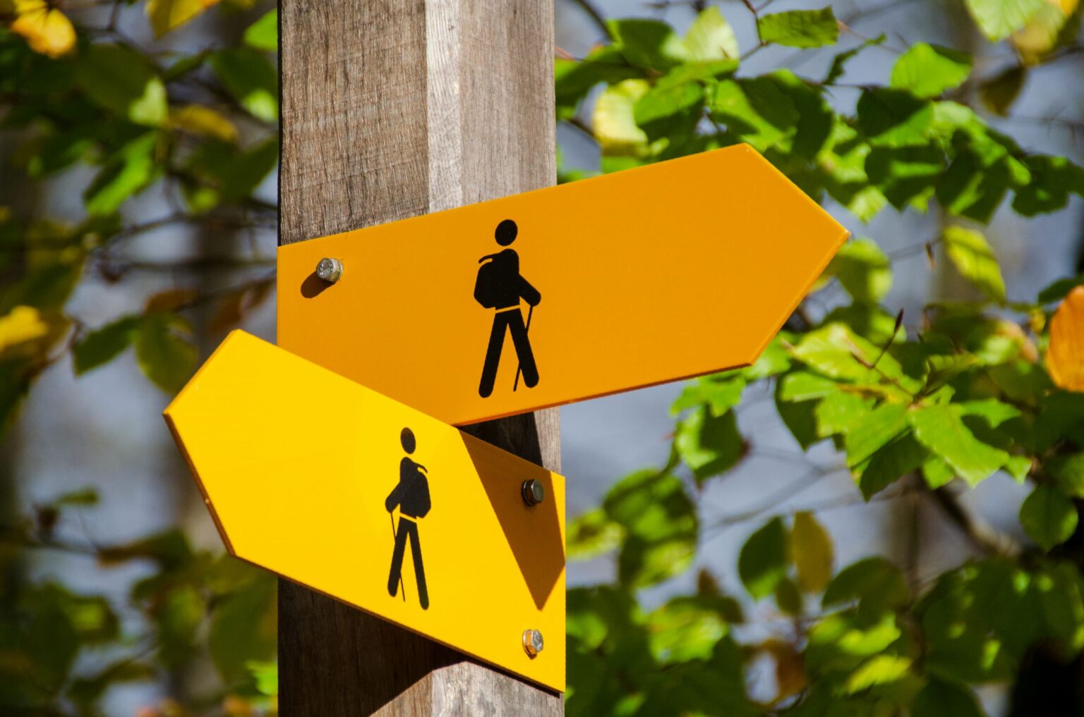 Mastering Wayfinding Signs: Navigational Wisdom Unveiled - Boo & Maddie